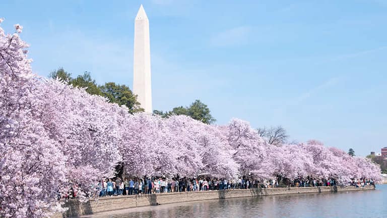 Spotlight on Washington, D.C. – AreaVibes Blog